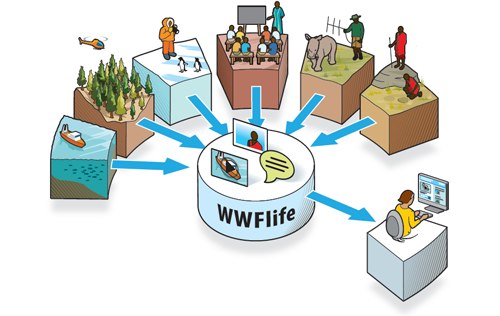 Priocept » Case Studies